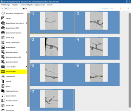 Lifesciencemarket.com DHS - Software Modul Panorama