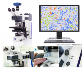 Lifesciencemarket.com Diagonal | ZEISS Axioscope 5 - The Upright ...