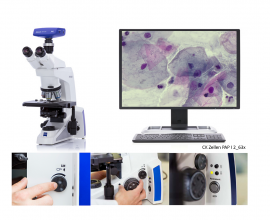 Lifesciencemarket.com Diagonal | Zeiss Axiolab 5 - Upright Microscope ...