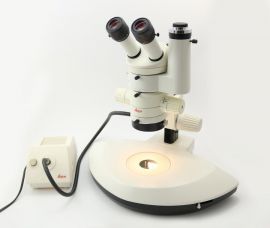 Lifesciencemarket.com microscopia | Refurbished Leica Stereo Microscope ...