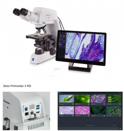 Lifesciencemarket.com Diagonal | Zeiss Primostar 3 - Upright Microscope ...