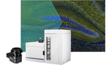 Lifesciencemarket.com Portal for microscopy. Find the microscope ...